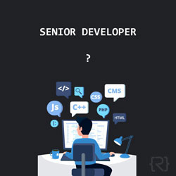 Roadmap to Becoming a Senior Software Engineer: Essential Skills and Knowledge | Rabin's Blog